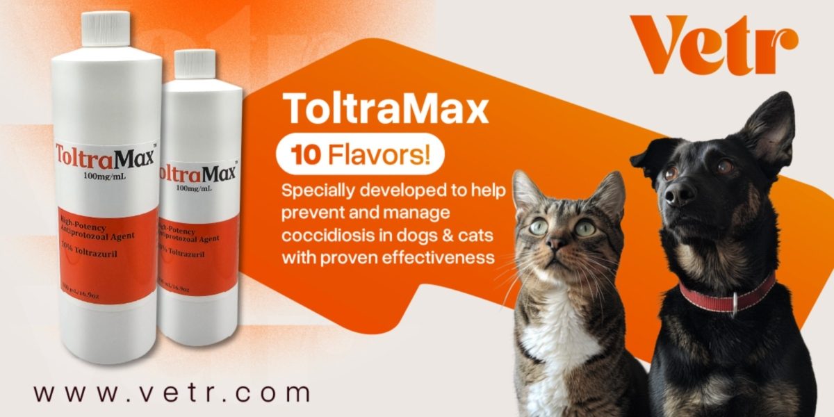 Affiliate of Pacific Avenue Capital Partners, Alongside Cameron Ashley ...